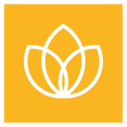 NBCF Celebrates 30 Years Of Breast Cancer Research